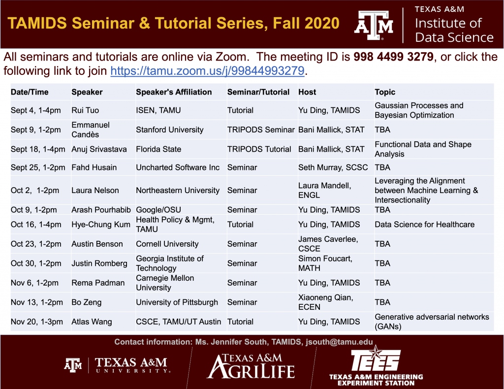 TAMIDS Fall 2020 Seminar & Tutorial Series – TAMIDS